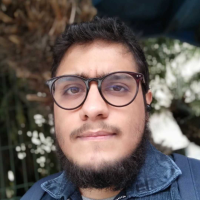 Além de 'O Rei Leão', o que significa Nala, nome da filha de IZA? - OFuxico