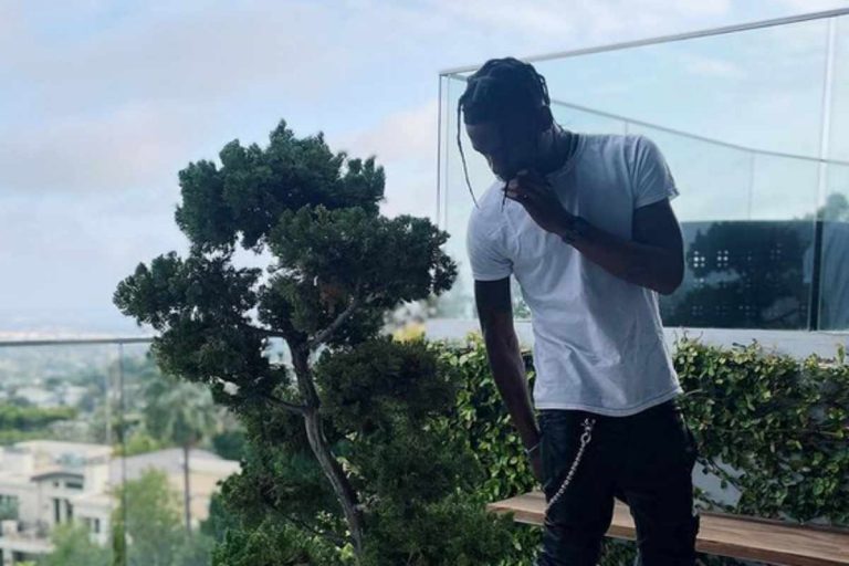 Travis Scott cai do palco durante show