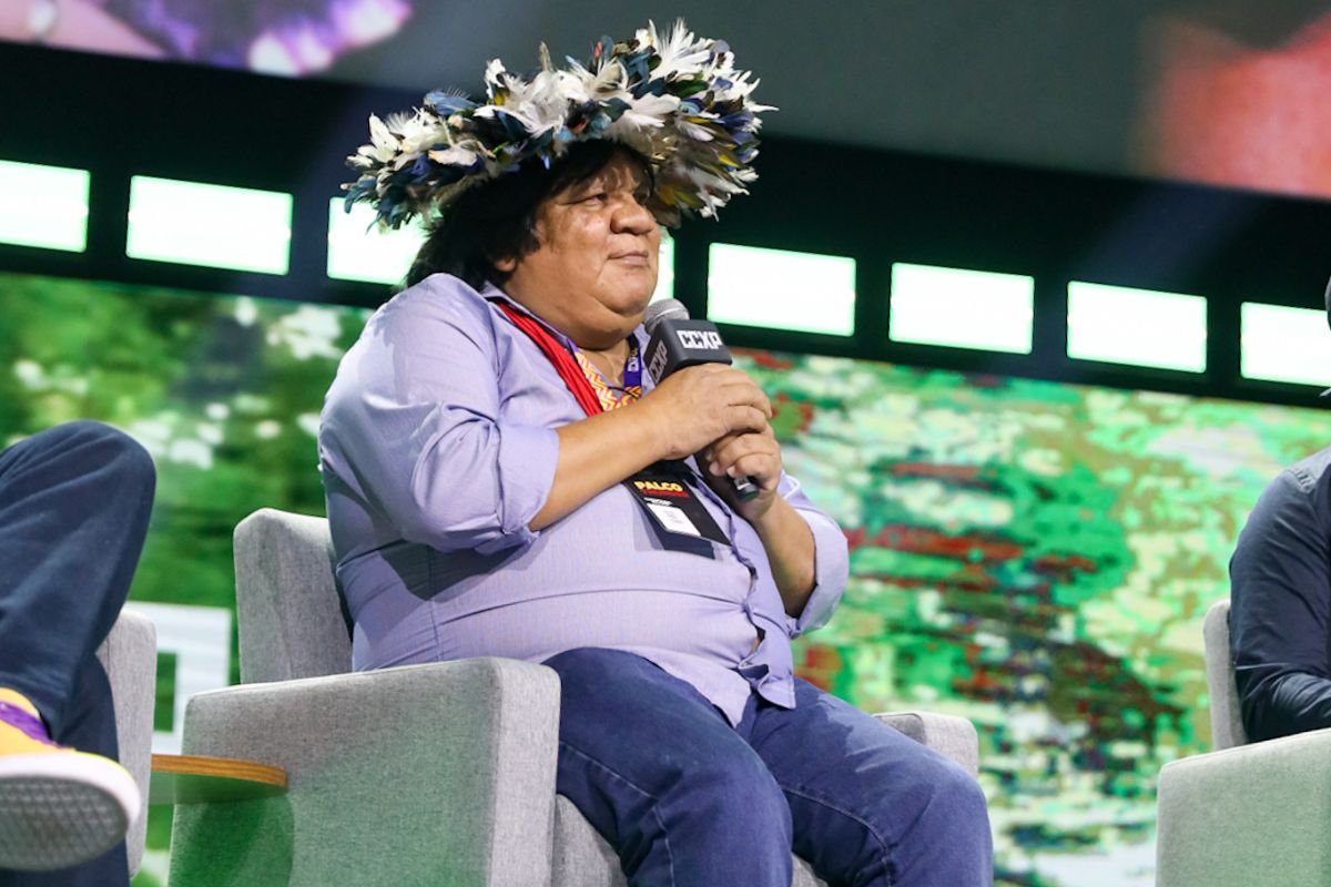 CCXP22: 'Já plantei 100 mil árvores', diz Bruno Gagliasso sobre Amazônia