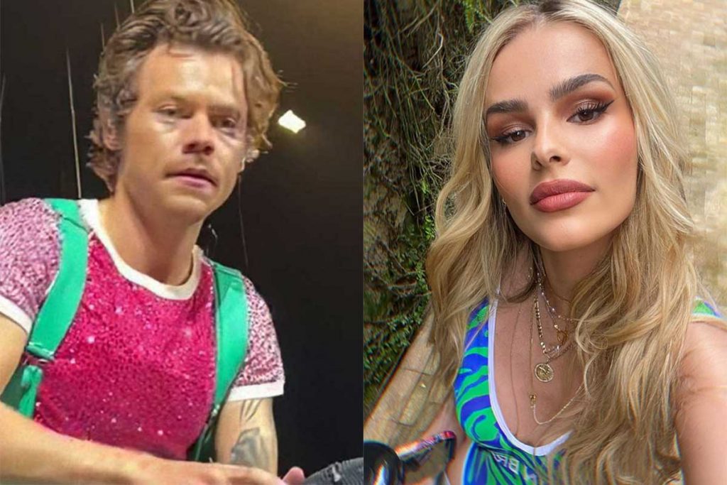 Famosos curtem show de Harry Styles em São Paulo - OFuxico