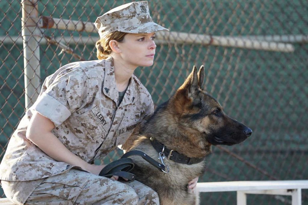 Sessão da Tarde exibe 'Megan Leavey' nesta segunda-feira