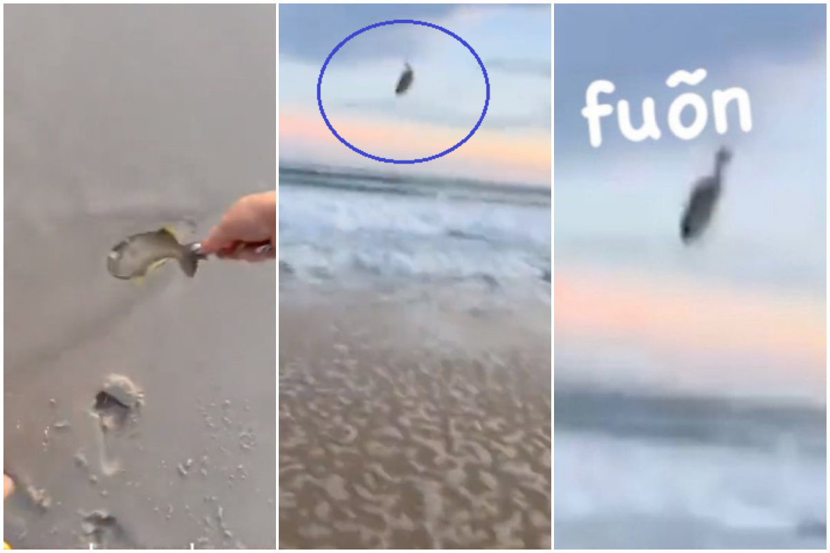 Jade Picon tenta salvar peixe e vira meme nas redes. Vídeo!