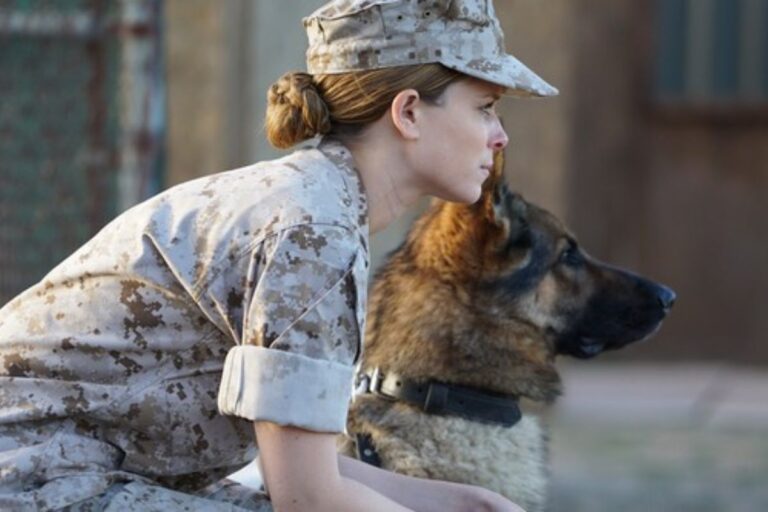 Sessão da Tarde traz 'Megan Leavey' nesta segunda-feira - OFuxico