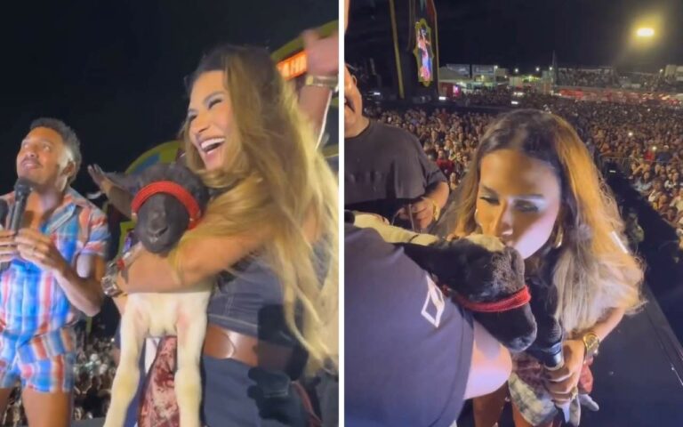 Simone Mendes recebe carneiro chamado Kaká em show na Bahia - OFuxico